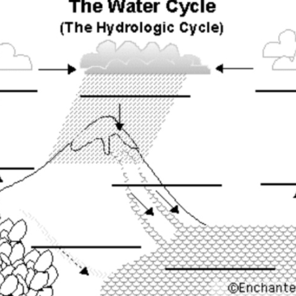 Hydrologic Cycle Diagram Black And White