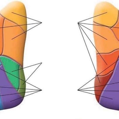 Segmentos de los pulmones