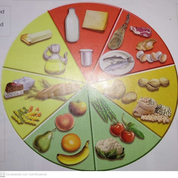 The food wheel