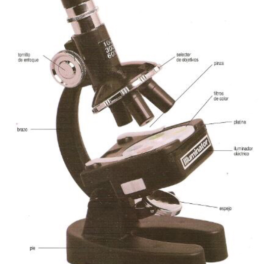 Partes del microscopio