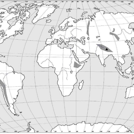 Physical map of the World