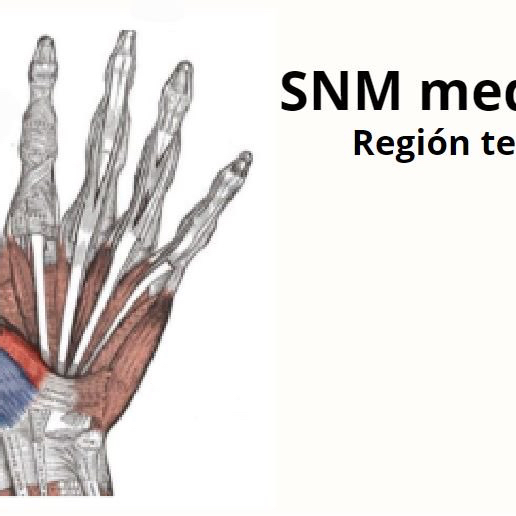 SNM mediano (región tenar)