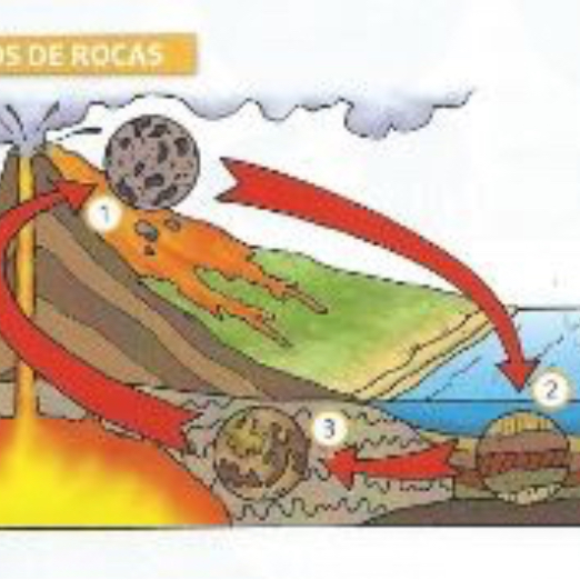 Los tipos de rocas. Cuarto curso de primaria.