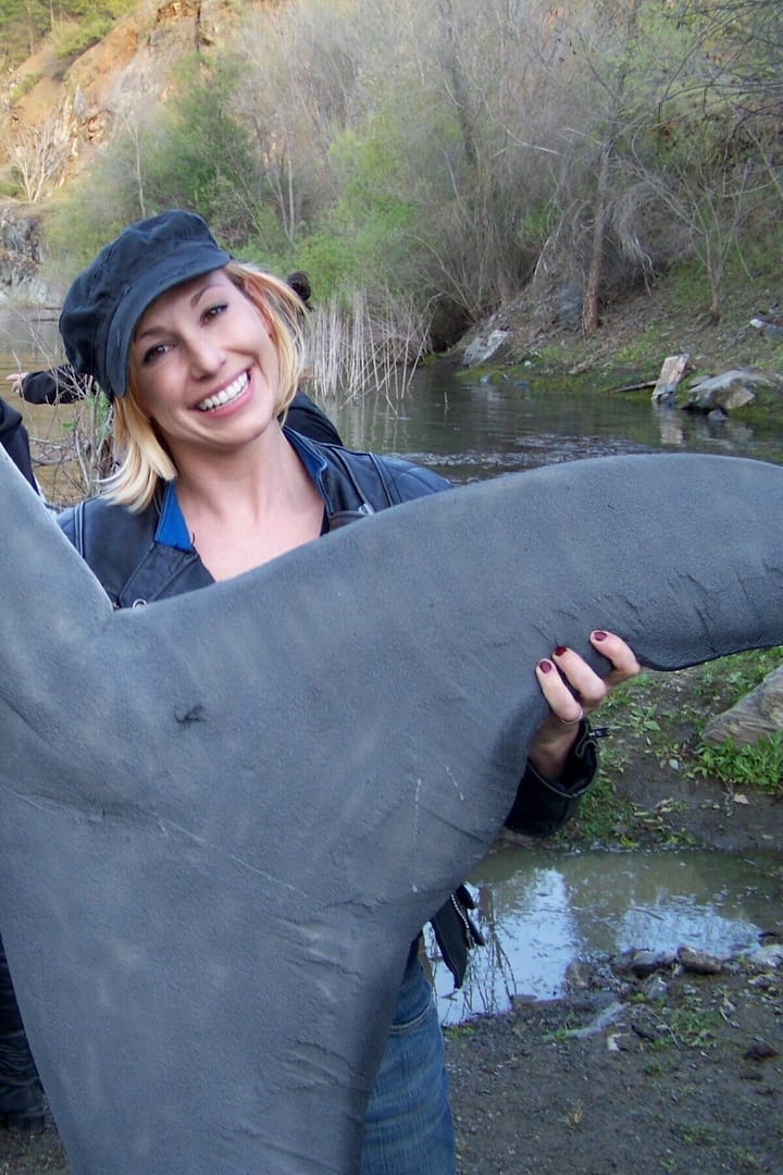 Caçadores de Mitos: Fricção de Listas e Tubarão-Pólvora - O Teu AMC