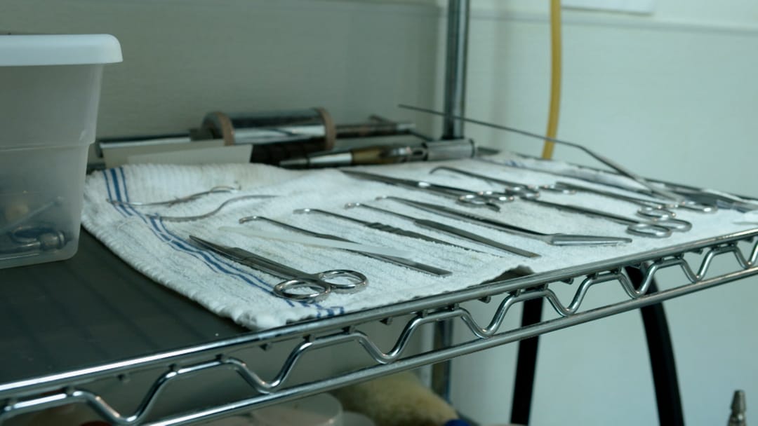 Culpadas: Karina Rafter - O Teu AMC