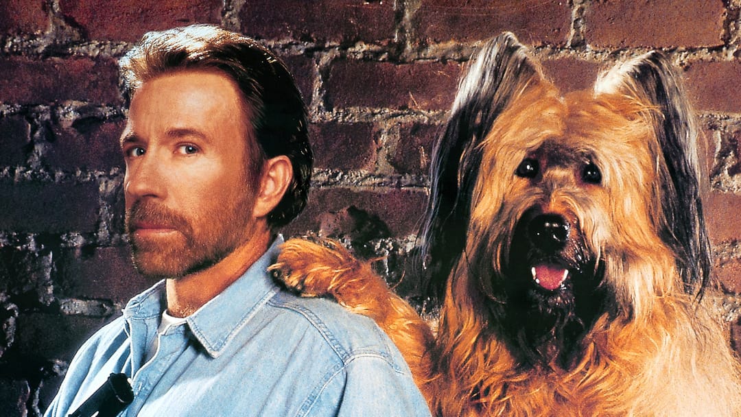 Top Dog - O Teu AMC