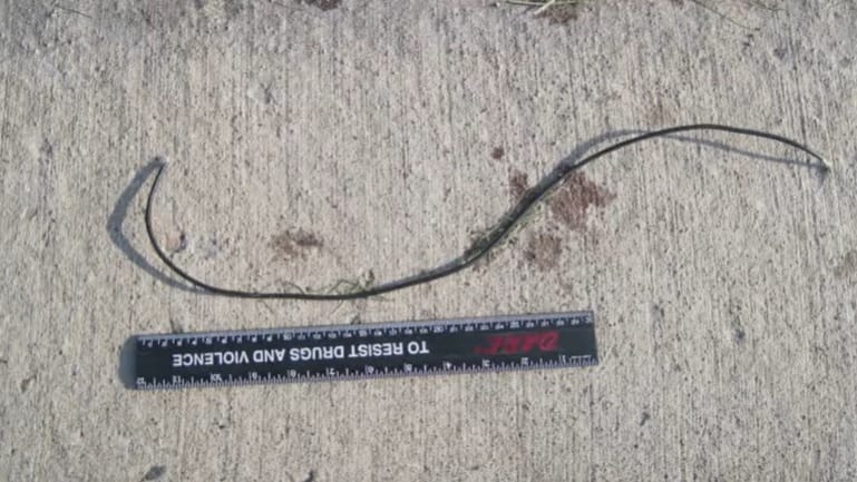 Sob Juramento: George Burch - O Teu AMC