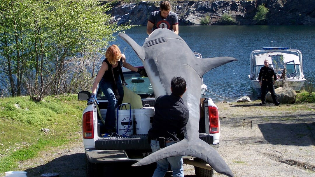 Caçadores de Mitos: Fricção de Listas e Tubarão-Pólvora - O Teu AMC